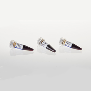 Blue/Orange Loading Dye, 6X - PT. Indolab Utama